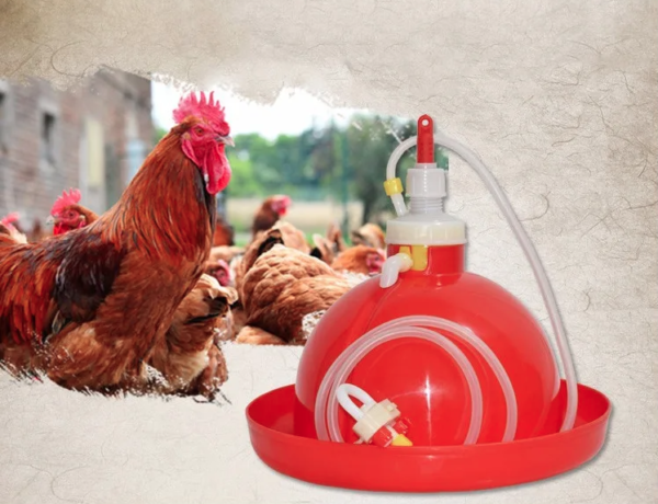 Bell Automatic Chicken Drinker - Agrimart Kenya